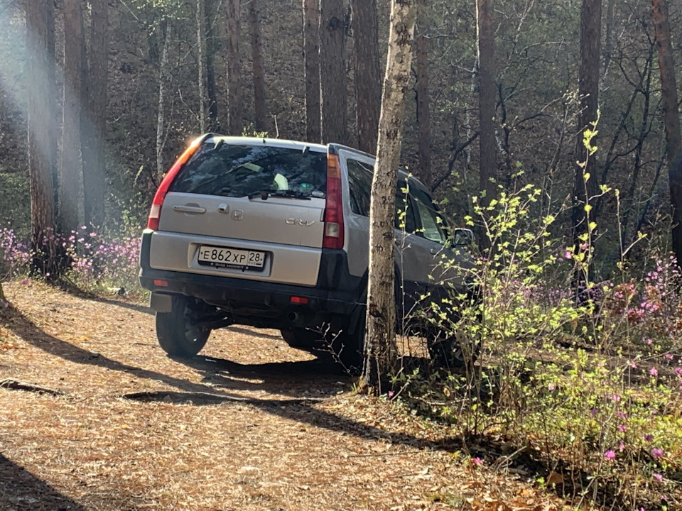 Расширение на CRV — Honda CR-V (RD4/RD5/RD6/RD7), 2 л, 2003 года | кузовной ремонт | DRIVE2