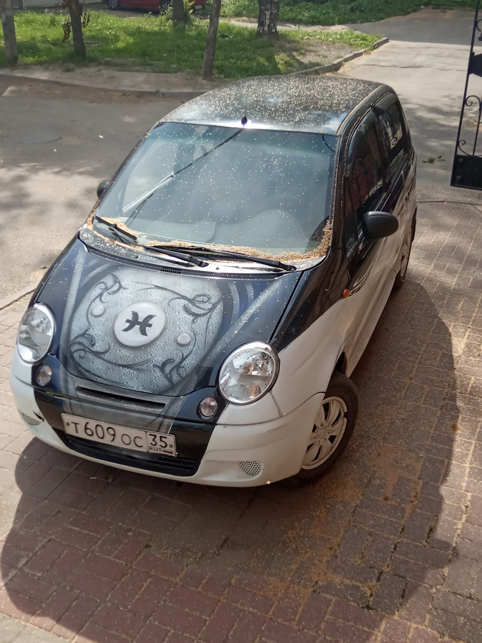 Летний снег — Daewoo Matiz (M100/M150), 0,8 л, 1999 года | наблюдение ...