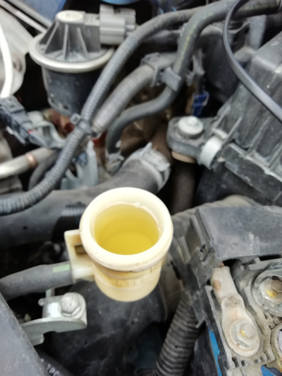 Honda HIM, проба пера (замена жидкости в приводе сцепления), и пытаюсь ...