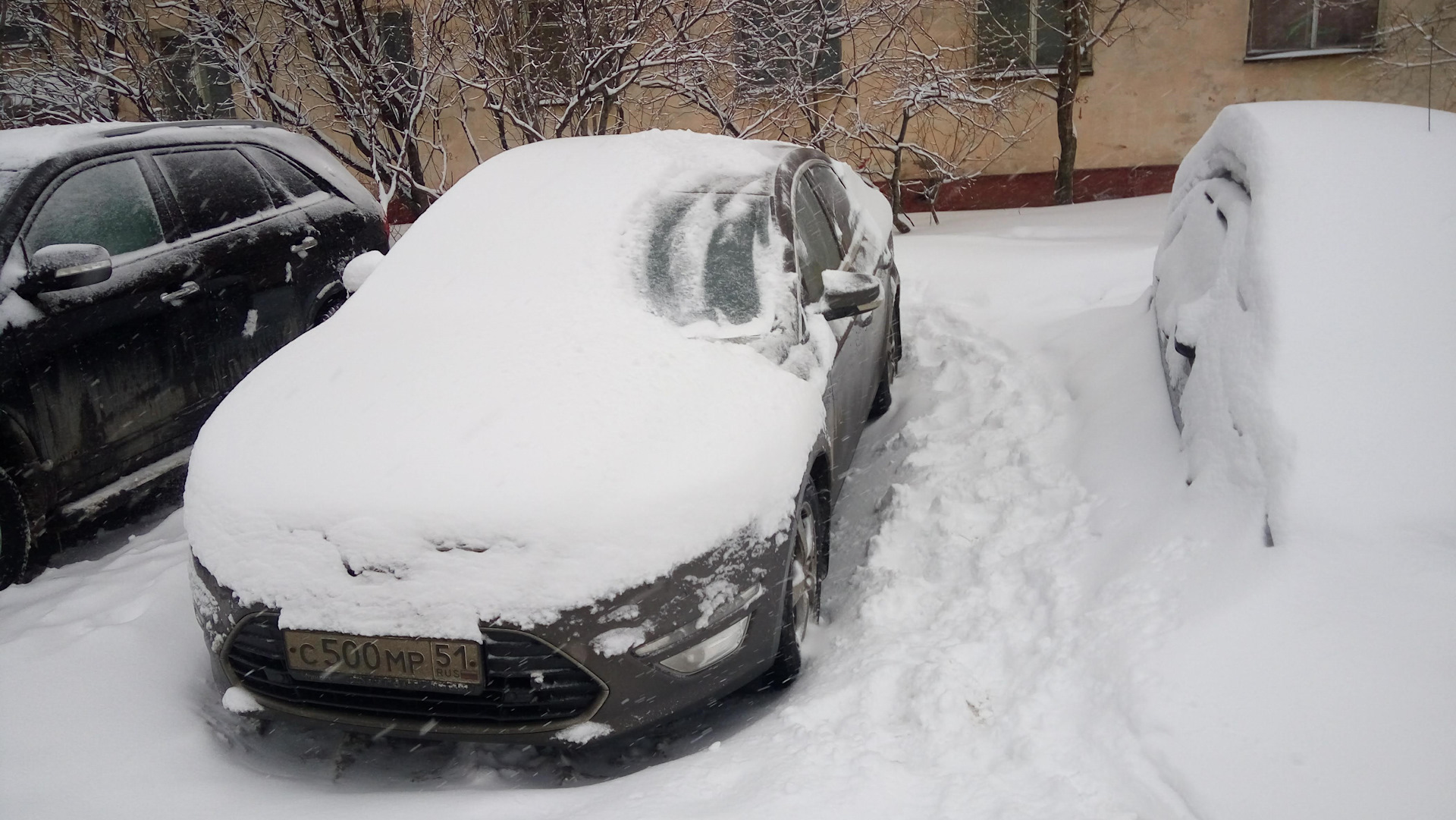 Очиститель систем непосредственного впрыска топлива Liqui Moly — Ford ...