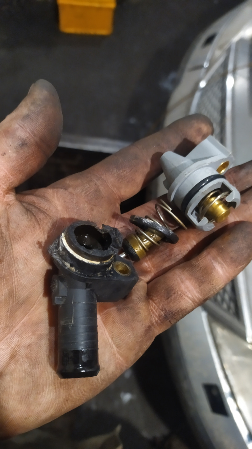 1372333 Термостат радиатора охлаждения масла двигателя (77*C) / Transit ...