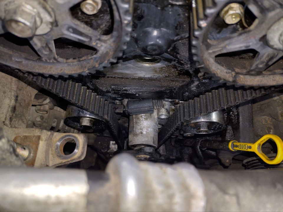 Что на счет ГРМ? — Mazda MX-3, 1,6 л, 1996 года | запчасти | DRIVE2