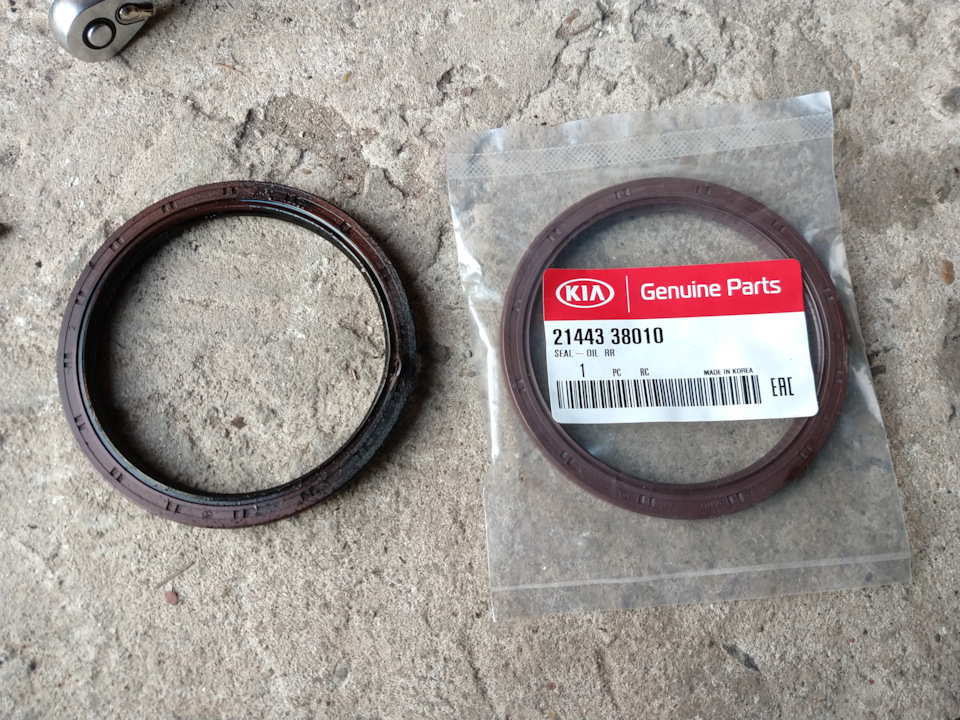 2144338010 Уплотнительное кольцо блока цилиндров KIA HYUNDAI | Запчасти ...