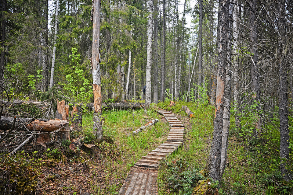 Фотосессия 3 — Toyota Wish (AE10), 1,8 л, 2006 года | фотография | DRIVE2