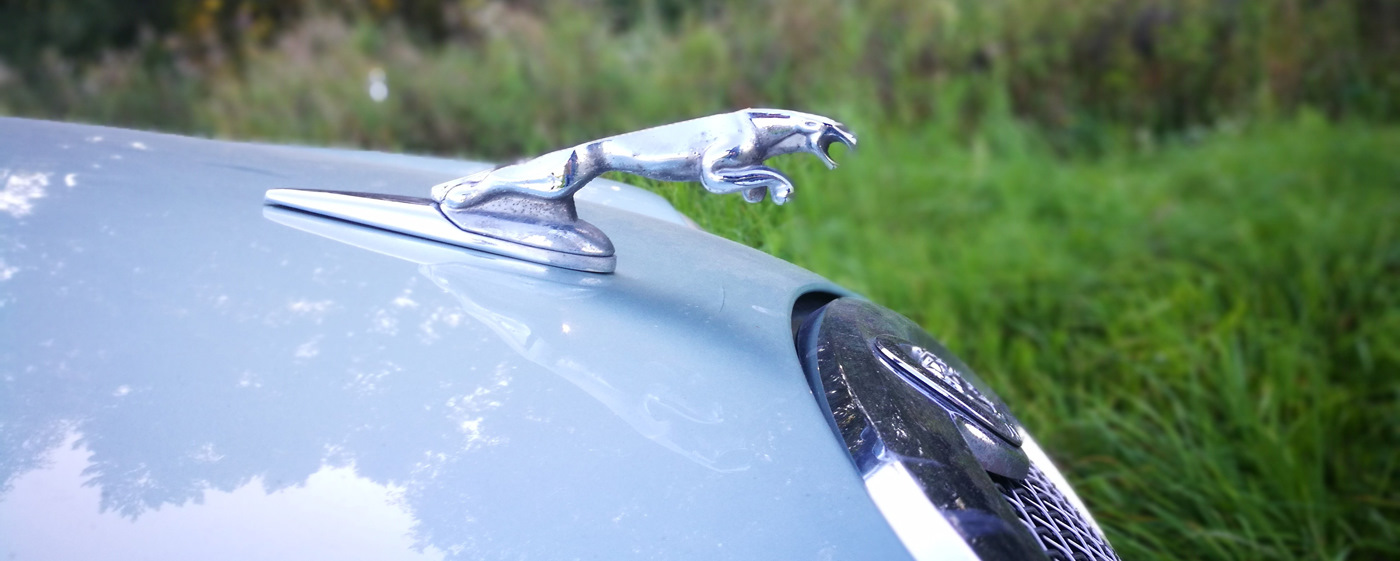 А чем пользуетесь вы? BP vs Shell — Jaguar S-Type (1G), 3 л, 2006 года ...