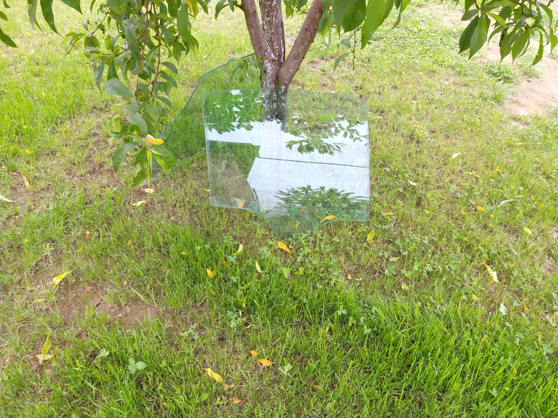 Add S761 или AS3. — BMW 3 series (E90), 3 л, 2005 года | стайлинг | DRIVE2