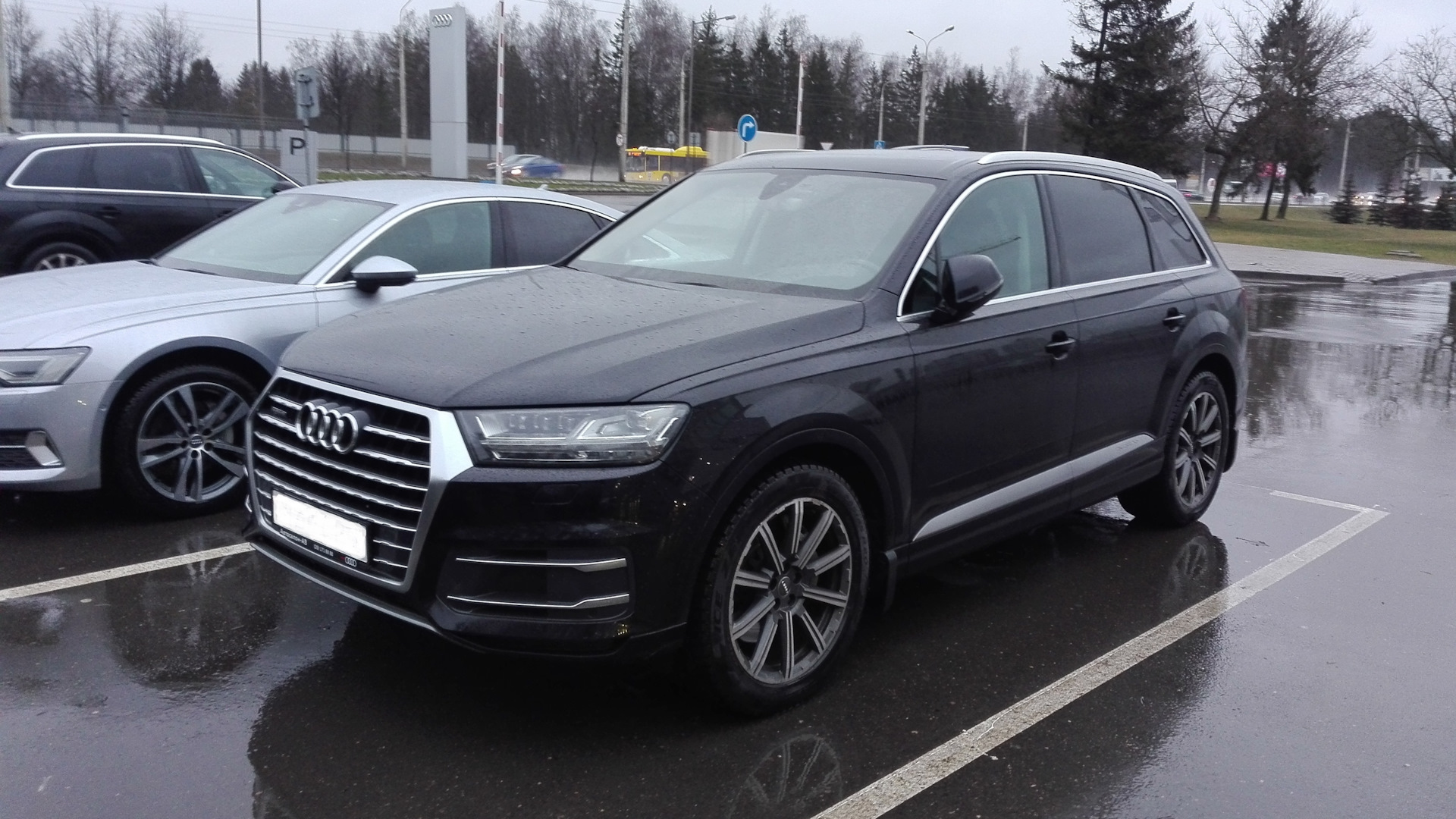 Audi Q7 (2G) 3.0 дизельный 2019 | Herr der Ringe на DRIVE2