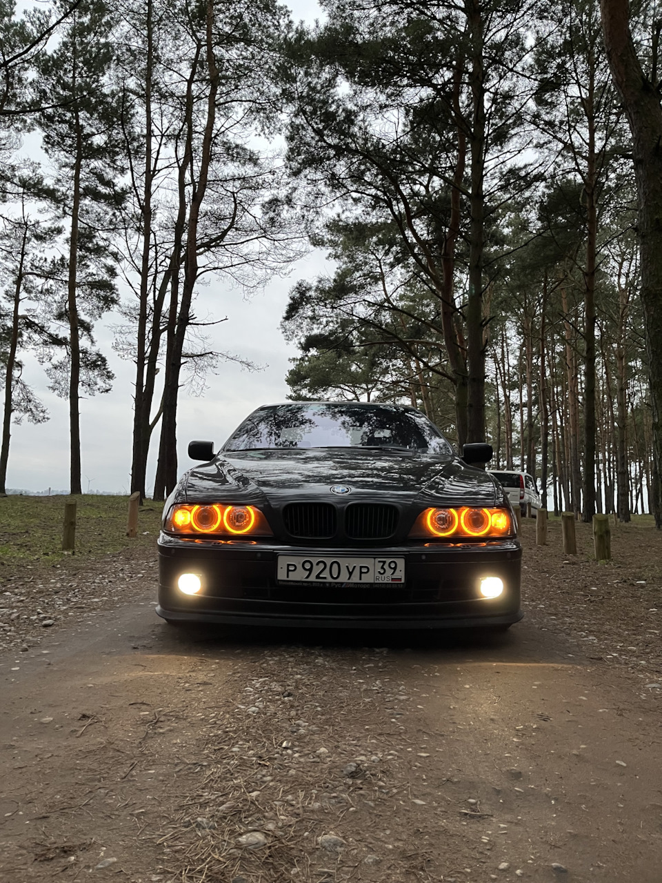 Глазки — BMW 5 series (E39), 2,9 л, 2001 года | поломка | DRIVE2
