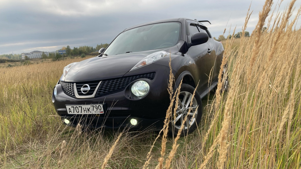 Nissan Juke (1G) 1.6 бензиновый 2013 | Летающий жучок на DRIVE2