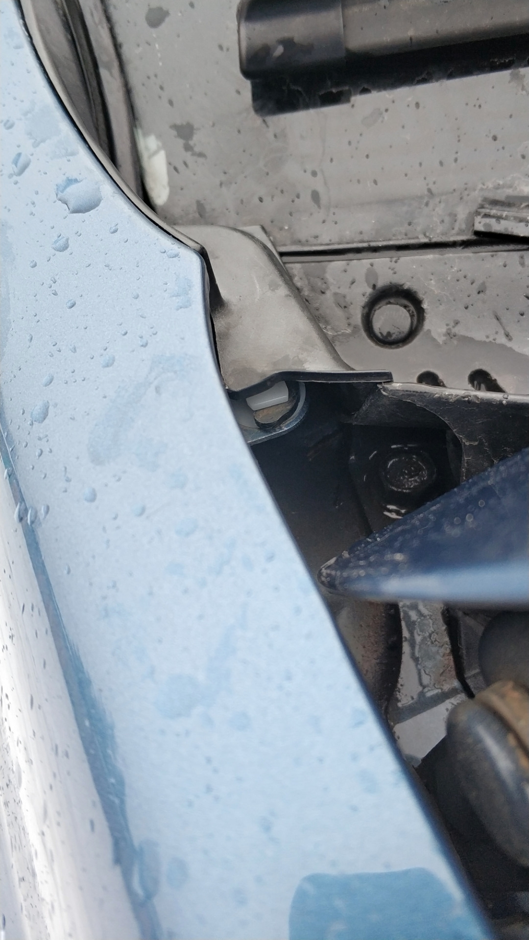 Клипсы — Subaru Outback (BP), 2,5 л, 2006 года | запчасти | DRIVE2