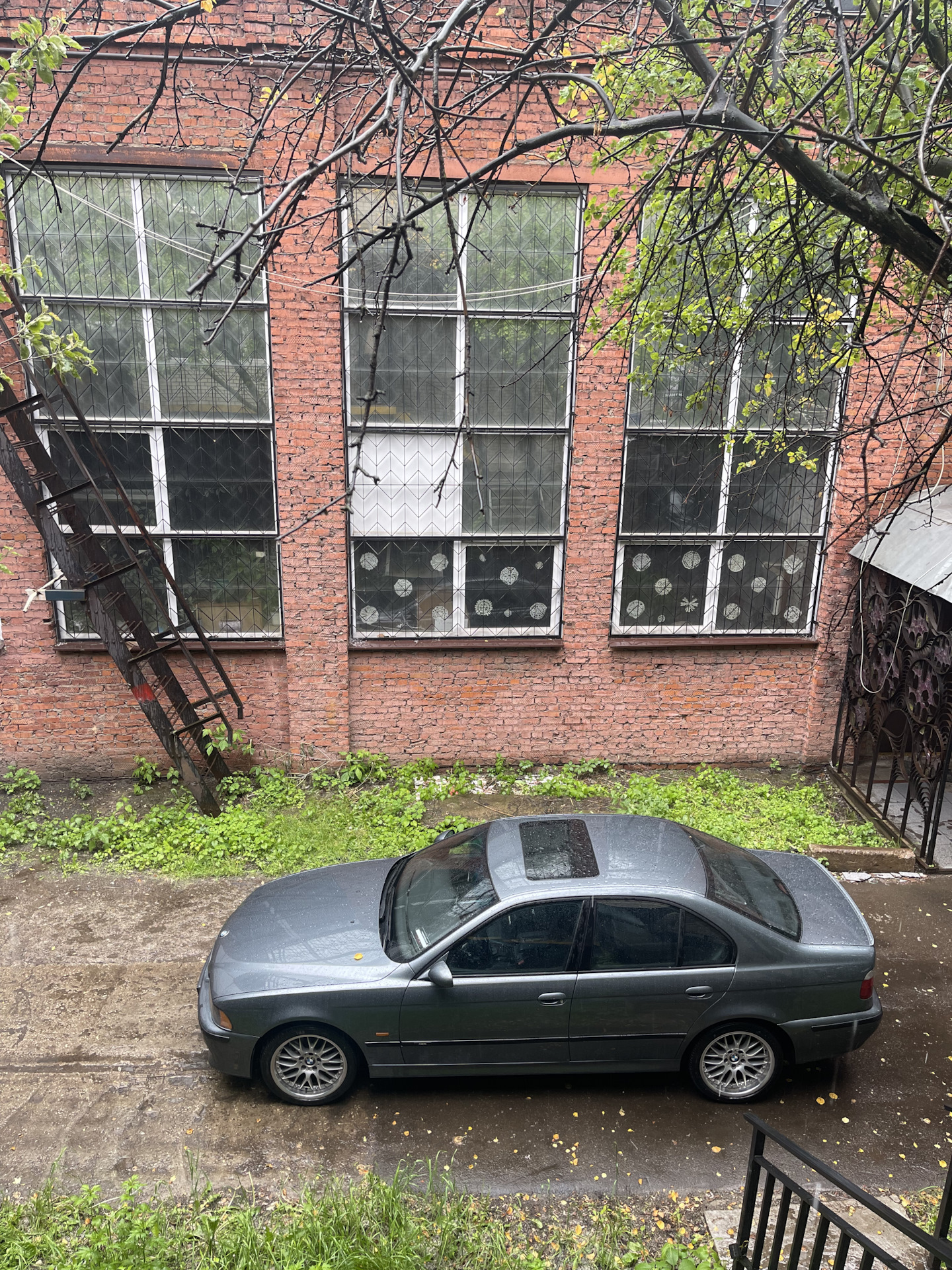 Что делать дальше? — BMW 5 series (E39), 2,9 л, 2002 года | наблюдение ...