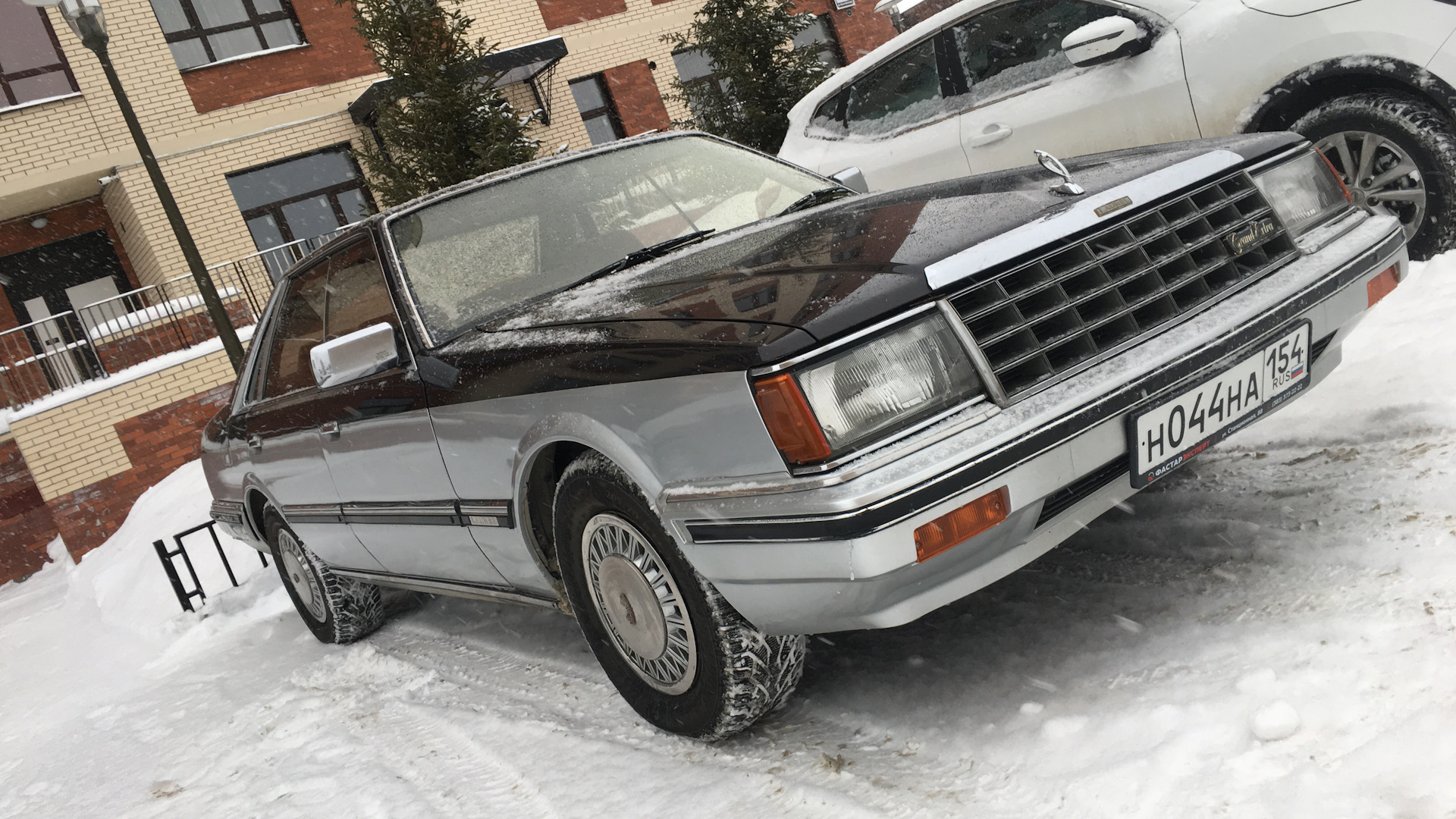 Nissan Laurel (C31) 2.0 бензиновый 1984 | на DRIVE2