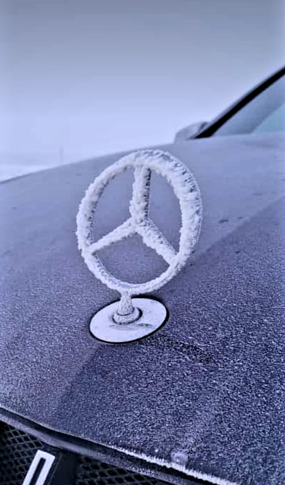 Замена ГРМ — Mercedes-Benz E-Class (W212), 1,8 л, 2011 года | визит на ...