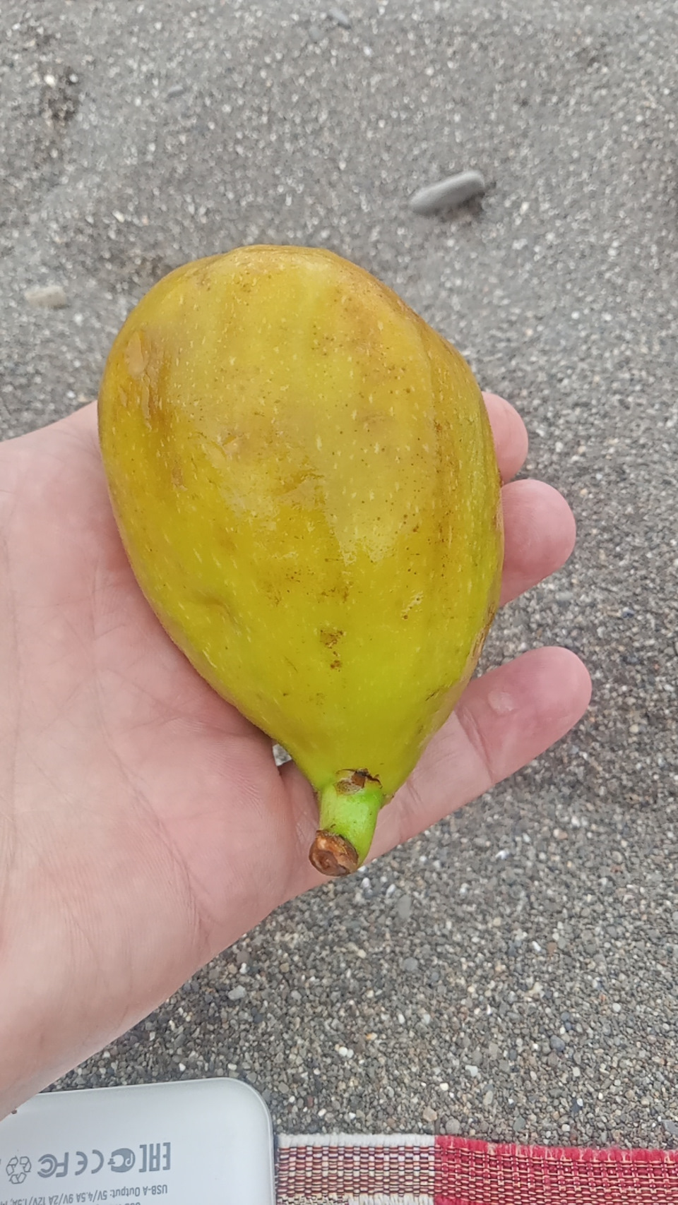 1211206 Ресивер-осушитель CTR | Запчасти на DRIVE2