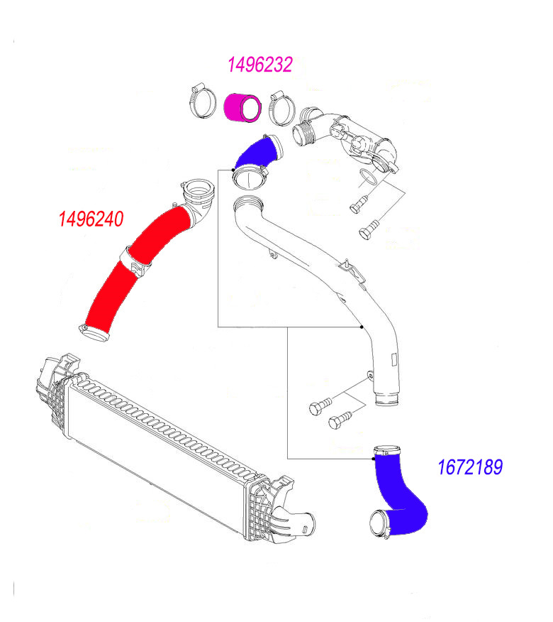 Силиконовые патрубки Ford Focus 2, 1.6 Дизель — Salers-technology на DRIVE2