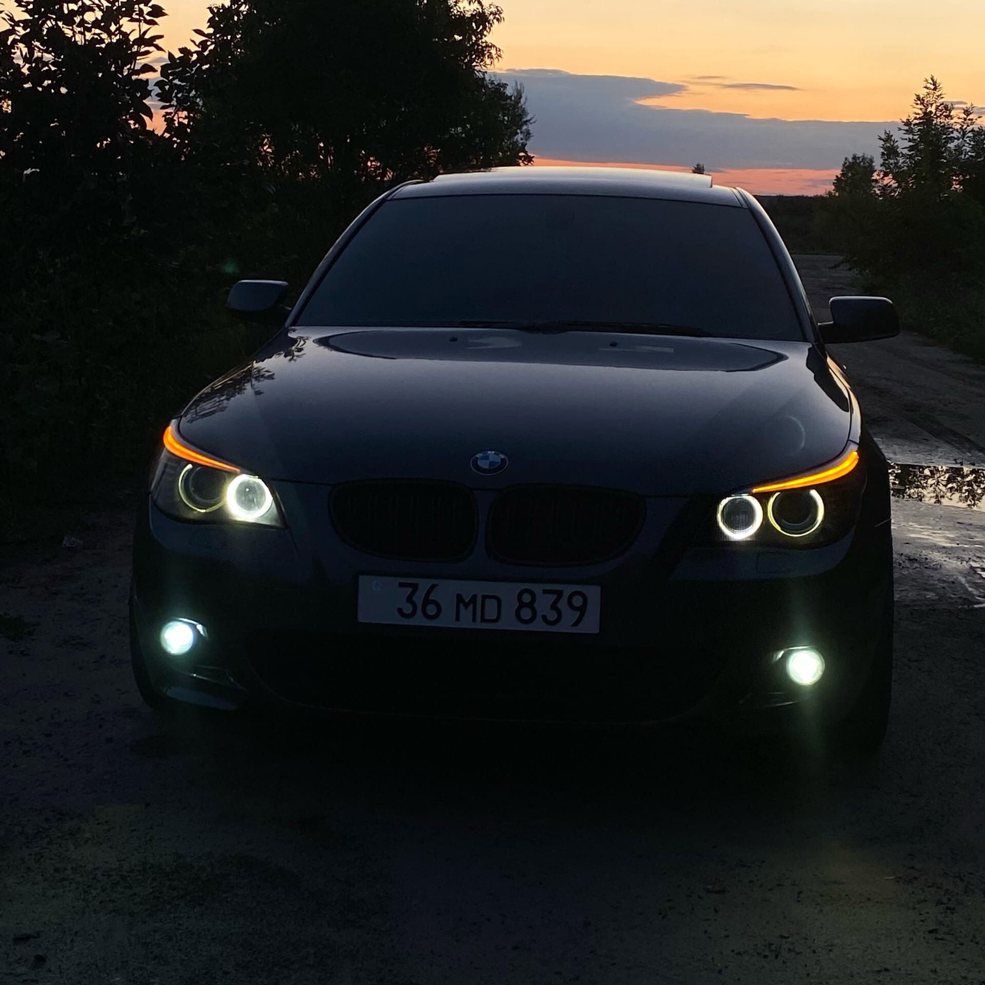 Ангельские глазки — BMW 5 series (E60), 3 л, 2009 года | тюнинг | DRIVE2