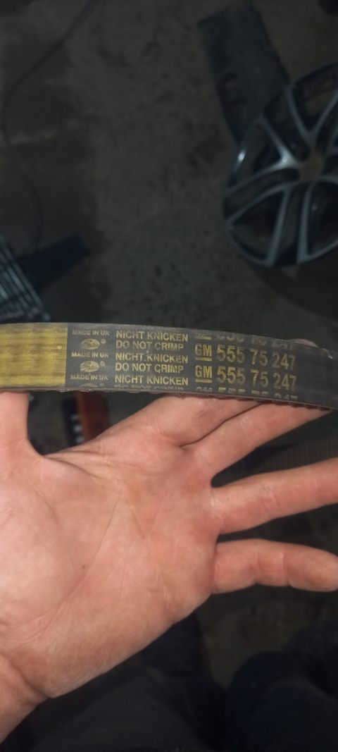 55575247 Приводной ремень GM | Запчасти на DRIVE2