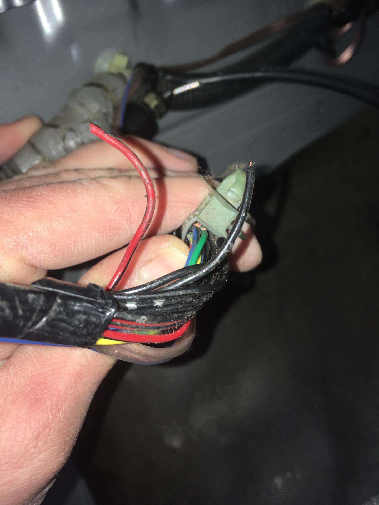 Проводка крышки багажника — Honda Accord (7G), 2,4 л, 2004 года ...