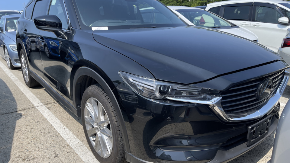 Mazda CX-8 2.2 дизельный 2018 | Черная Акула "Маруся" на DRIVE2