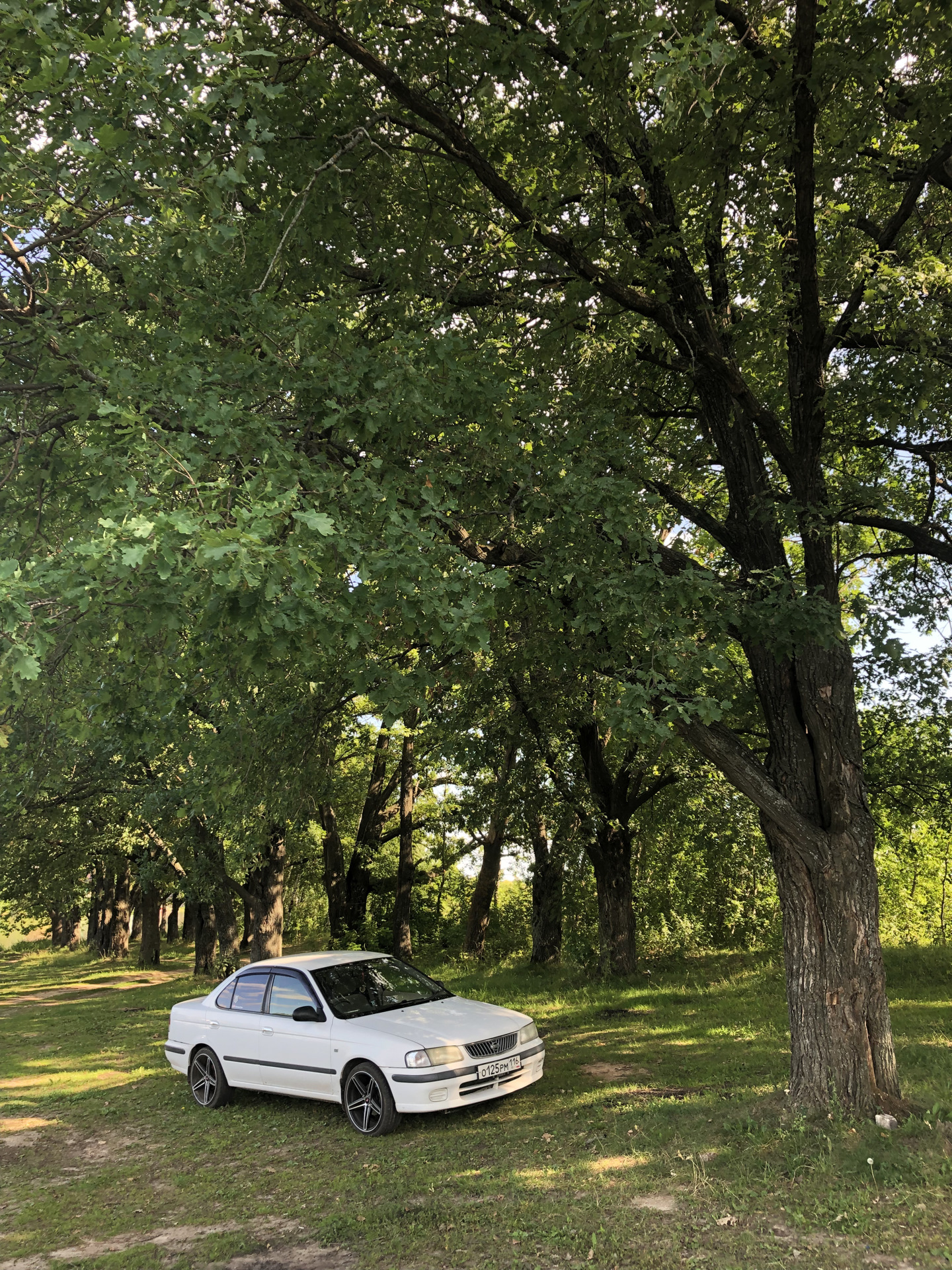 Новые тапочки — Nissan Sunny (B15), 1,5 л, 2000 года | колёсные диски ...