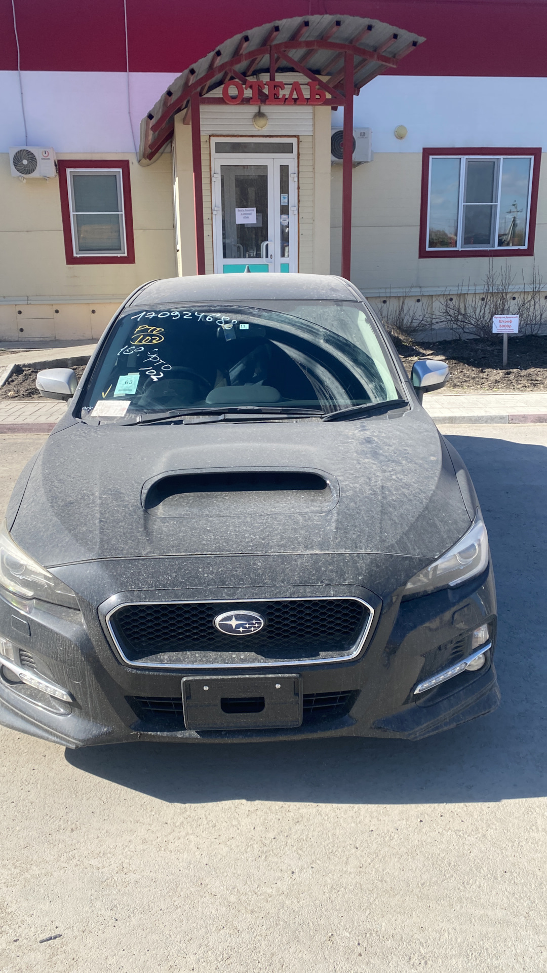 Первое впечатление — Subaru Levorg (VM), 1,6 л, 2014 года | встреча ...