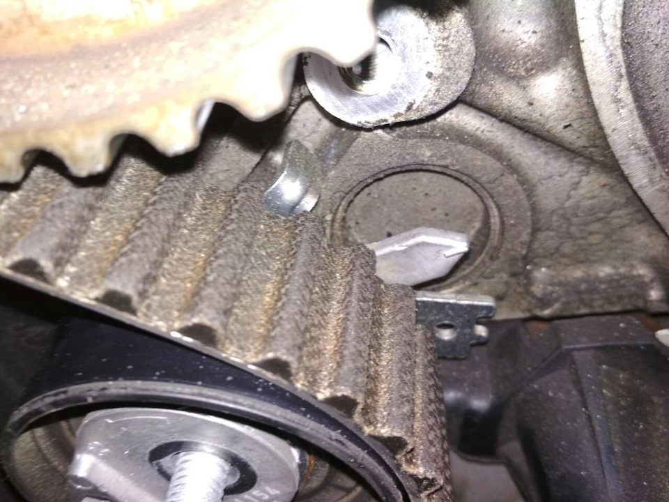 Ролик ГРМ. — Renault Grand Scenic III, 1,5 л, 2009 года | запчасти | DRIVE2