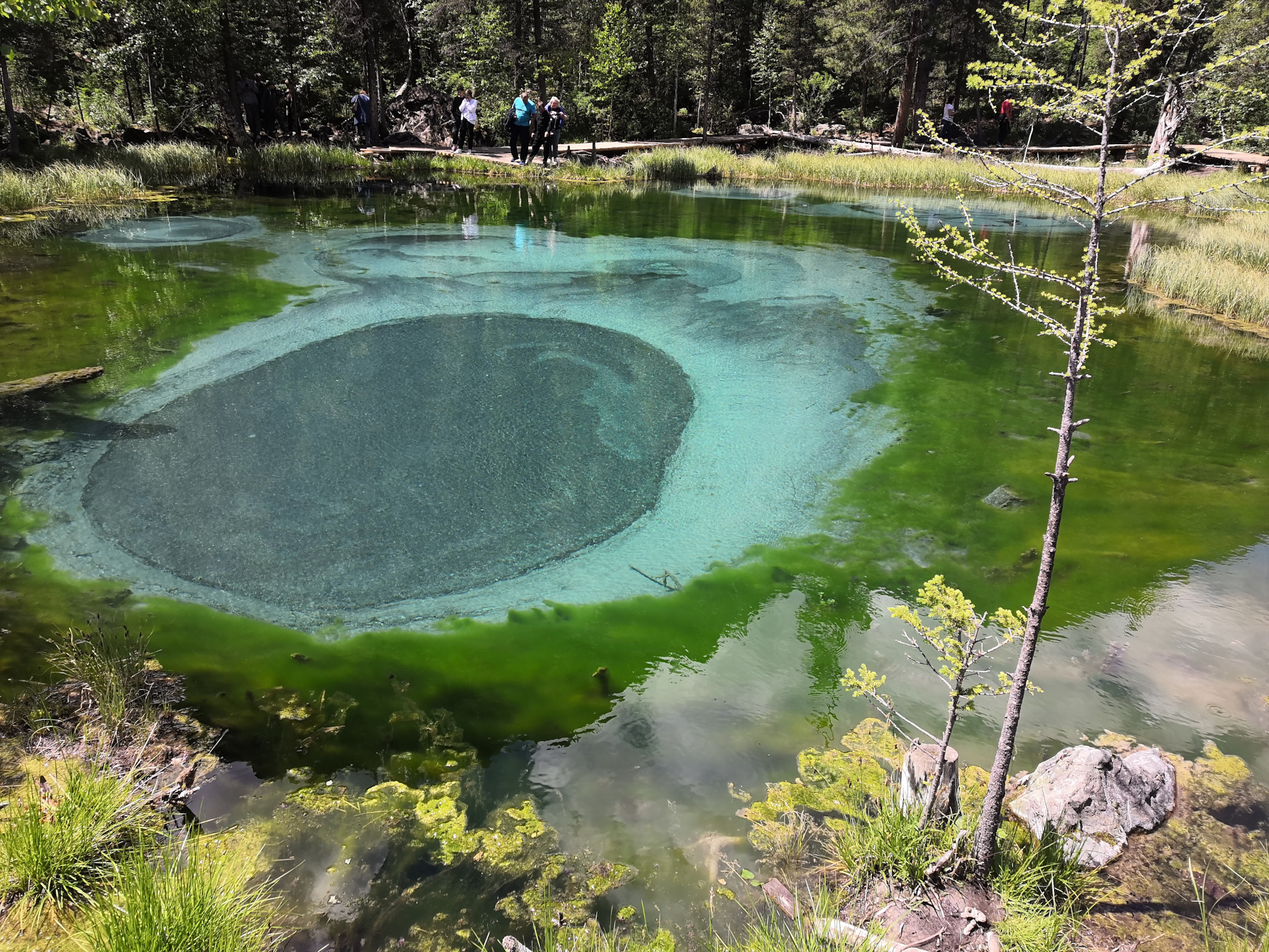 Алтай 2022 — Toyota Vitz (10), 1,3 л, 2002 года | путешествие | DRIVE2