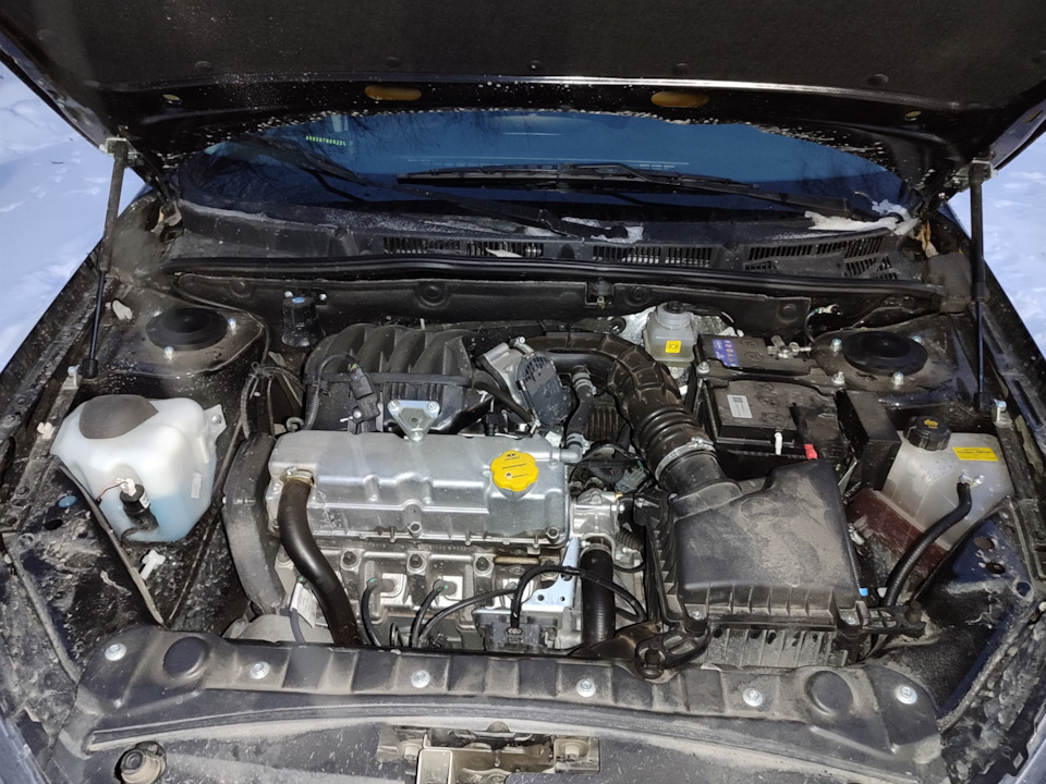 #21 Заглушки опор передних стоек — Lada Гранта (2G) FL, 1,6 л, 2023 ...