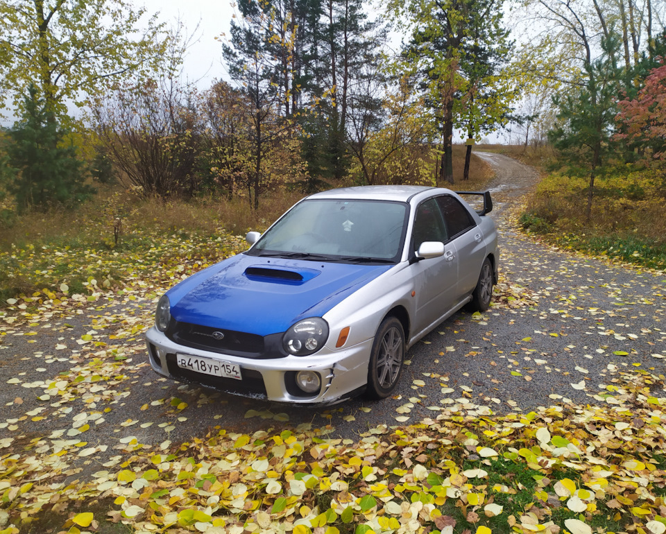 Осень — Subaru Impreza WRX (GD/GG), 2 л, 2001 года | фотография | DRIVE2