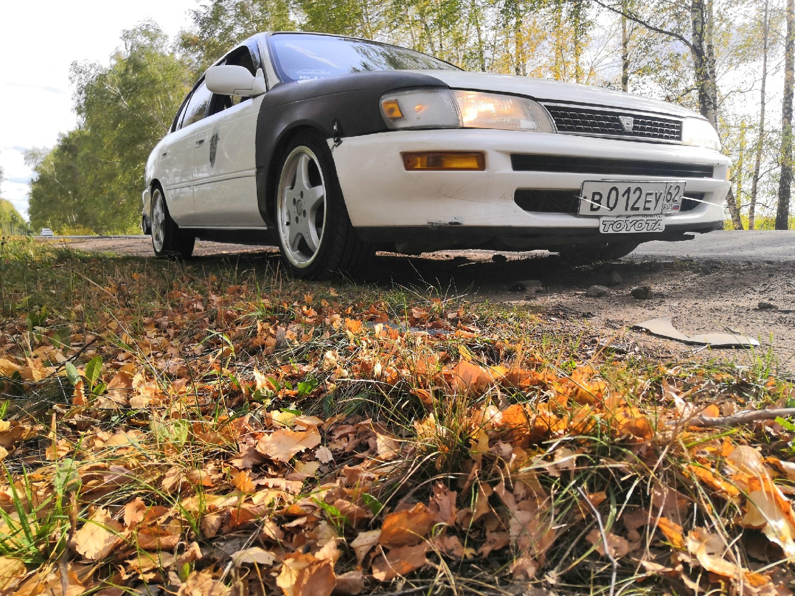 Logic 7 — BMW 3 series Touring (E91), 2 л, 2009 года | автозвук | DRIVE2