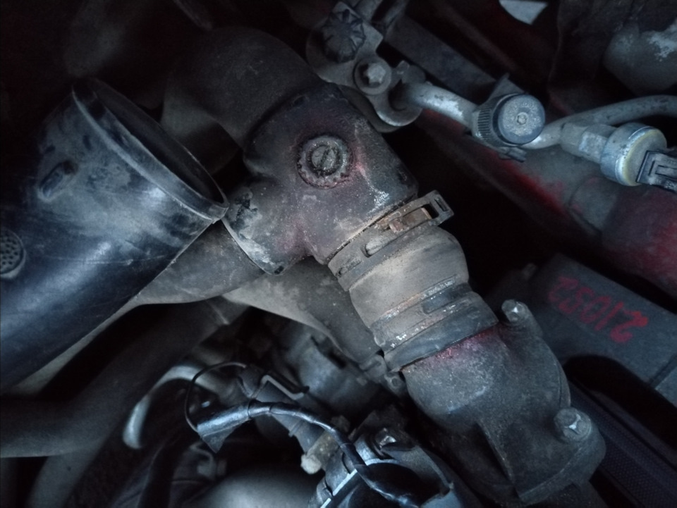 Летнее. Июль — Opel Corsa D, 1,4 л, 2008 года | визит на сервис | DRIVE2