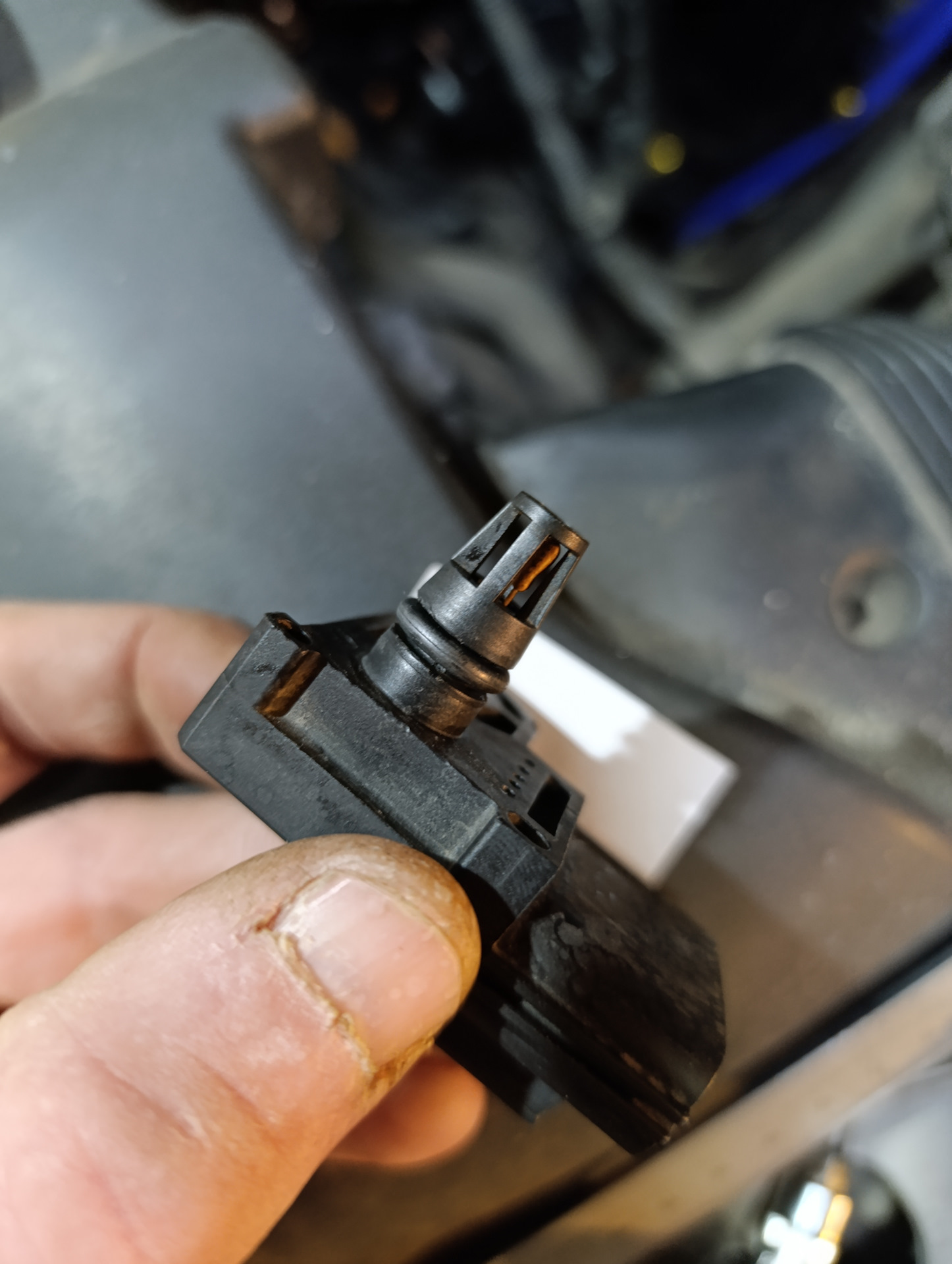 MAP Ford 1439900 Датчик давления и температуры воздуха и кольцо ...