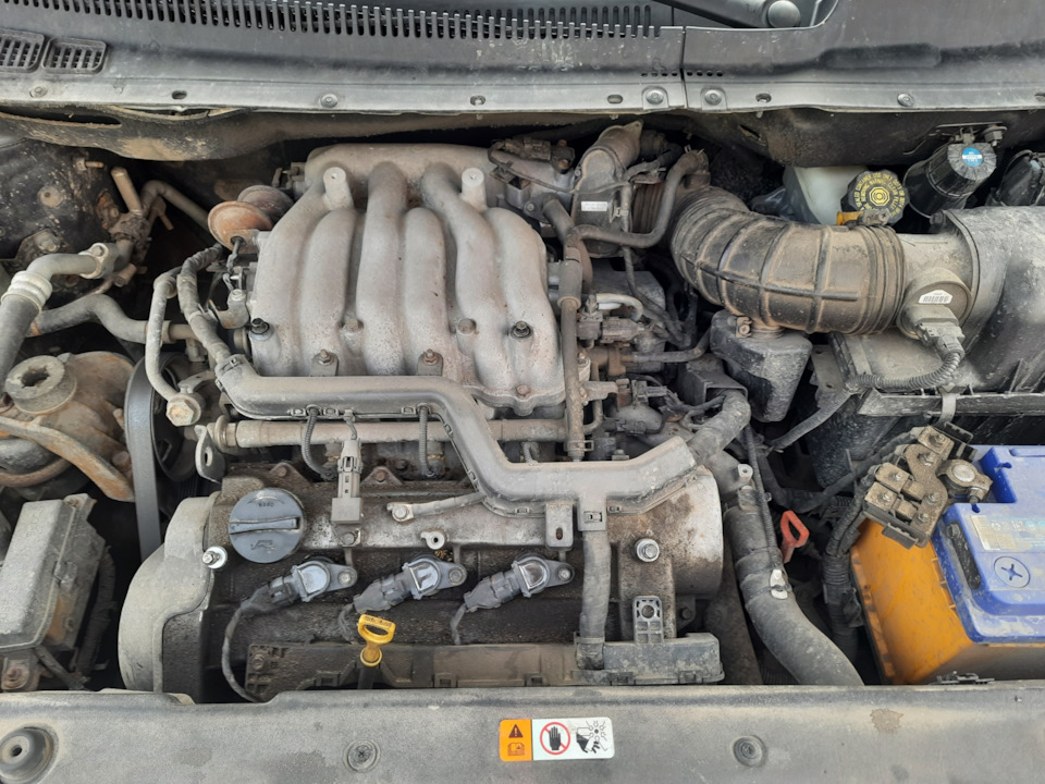 Мойка мотора — KIA Carnival (2G), 2,7 л, 2006 года | мойка | DRIVE2