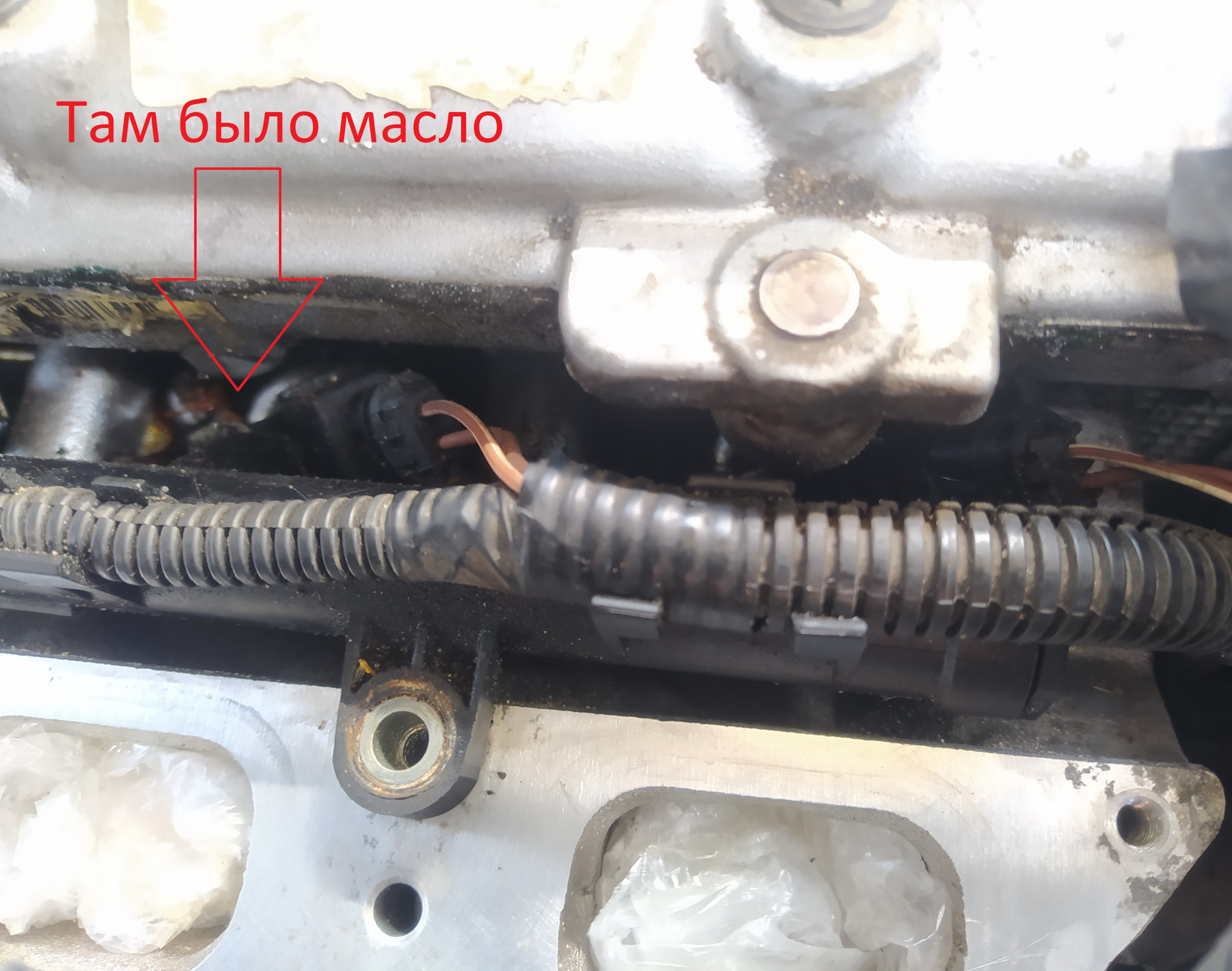 Устранение течи масла из под крышки маслоотделителя Renault Megane 2 II 1.6 K4M — Renault Megane ...