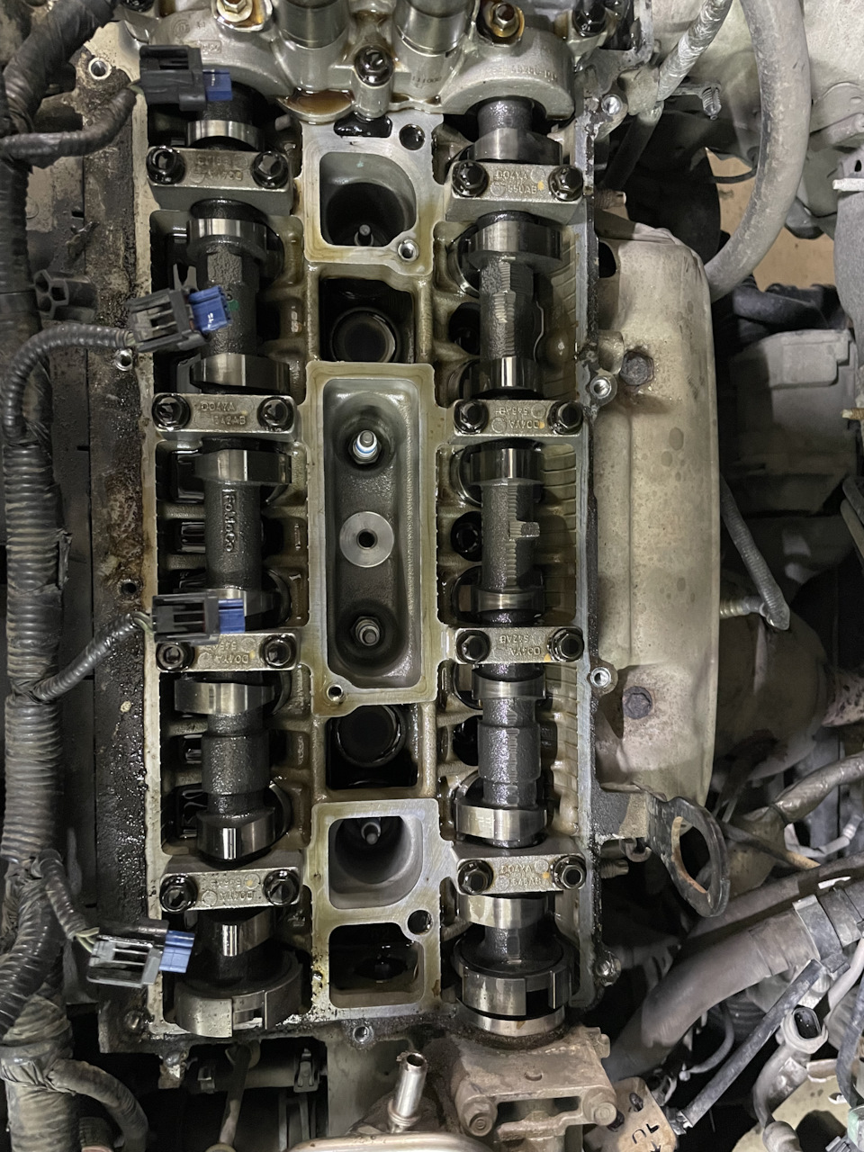 Замена прокладок клапанной крышки. — Ford Focus Hatchback III, 2 л ...