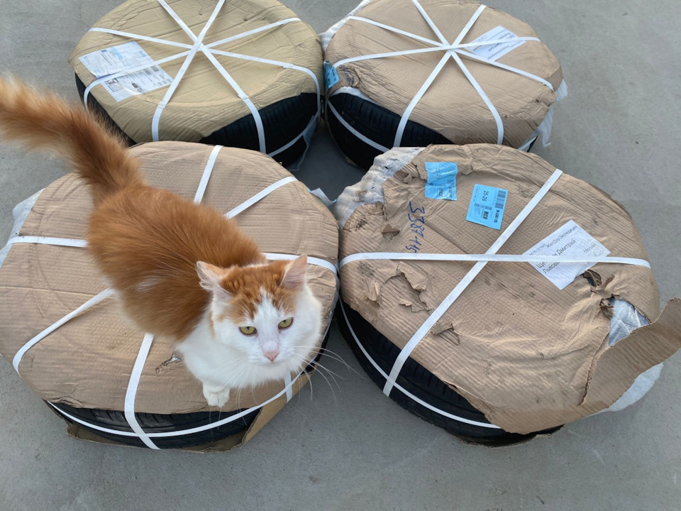 VST Monoblock TYPE-R — Volvo S60 R, 2,5 л, 2007 года | колёсные диски ...