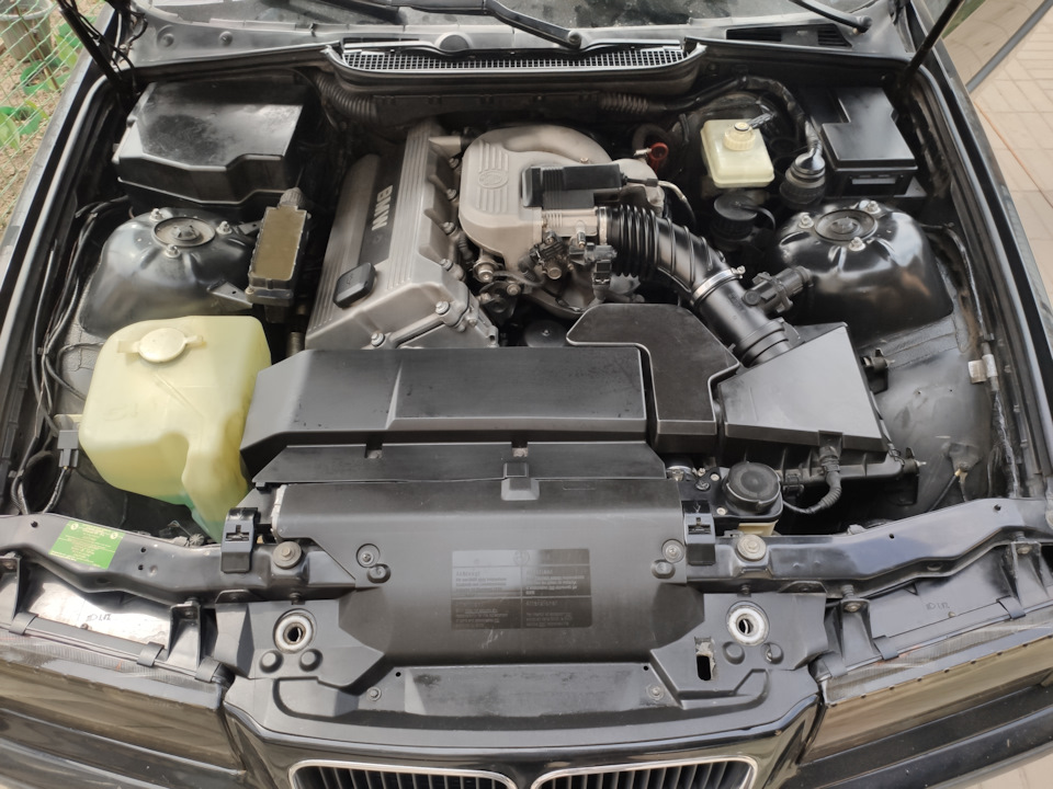Финалити подкапотного пространства — BMW 3 series Compact (E36/5), 1,9 ...