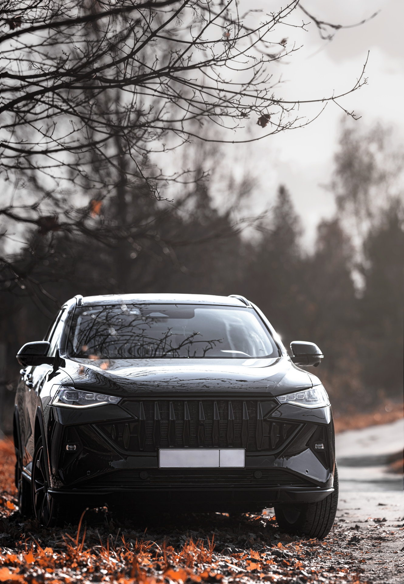 Сколько раз в день вы моете свой чёрный авто? — Haval F7x, 2 л, 2023 года | фотография | DRIVE2