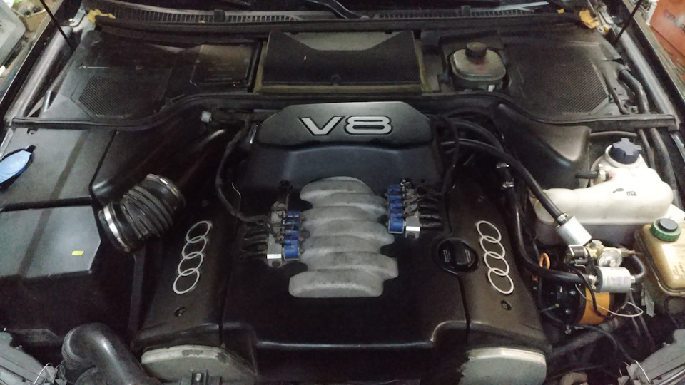 Замена свечей, сигнала, и немного ремонта — Audi A8 (D2), 4,2 л, 1995 ...