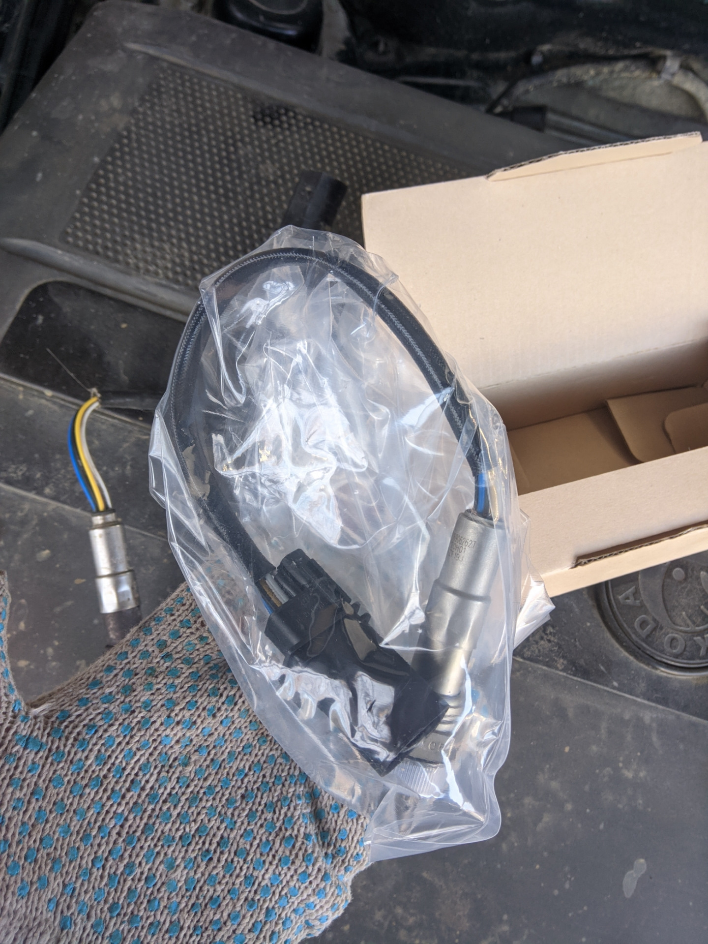 Коронавирус у Фабии — Китайская вакцина — Skoda Fabia Mk1, 1,4 л, 2006 ...