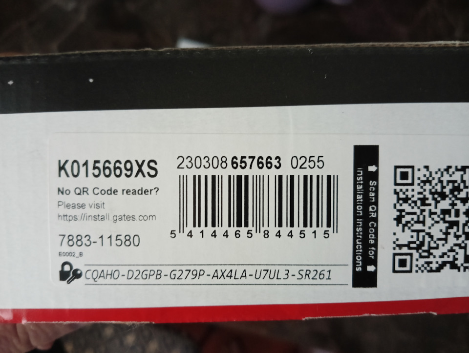 Замена ремня ГРМ — Ford Focus Sedan II, 1,6 л, 2006 года | плановое ТО ...