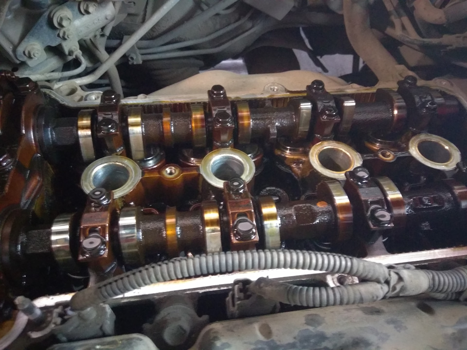 9031142045 Уплотняющее кольцо, распределительный вал TOYOTA LEXUS ...