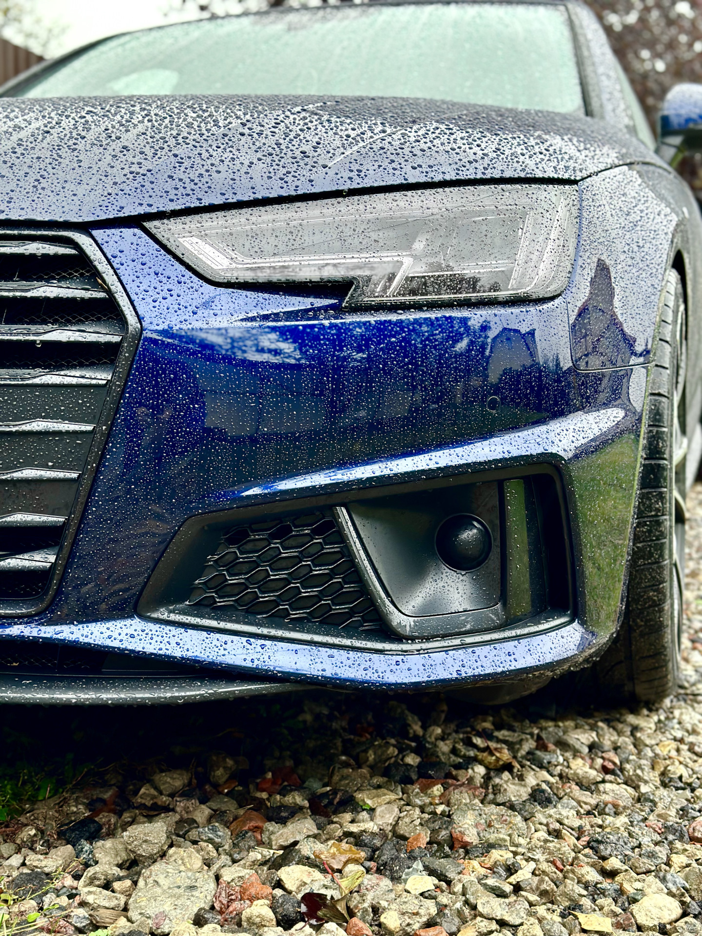 Гарантийные обязательства — Audi A4 (B9), 2 л, 2019 года | визит на ...