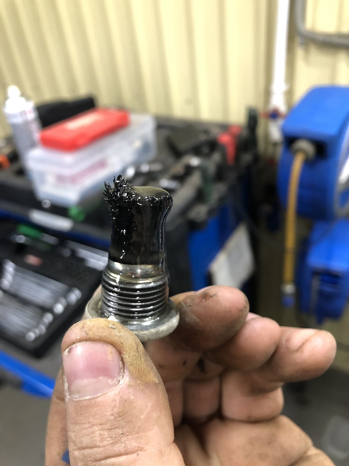 Обслуживание (Продолжение) — Lexus IS-F, 5 л, 2008 года | визит на ...