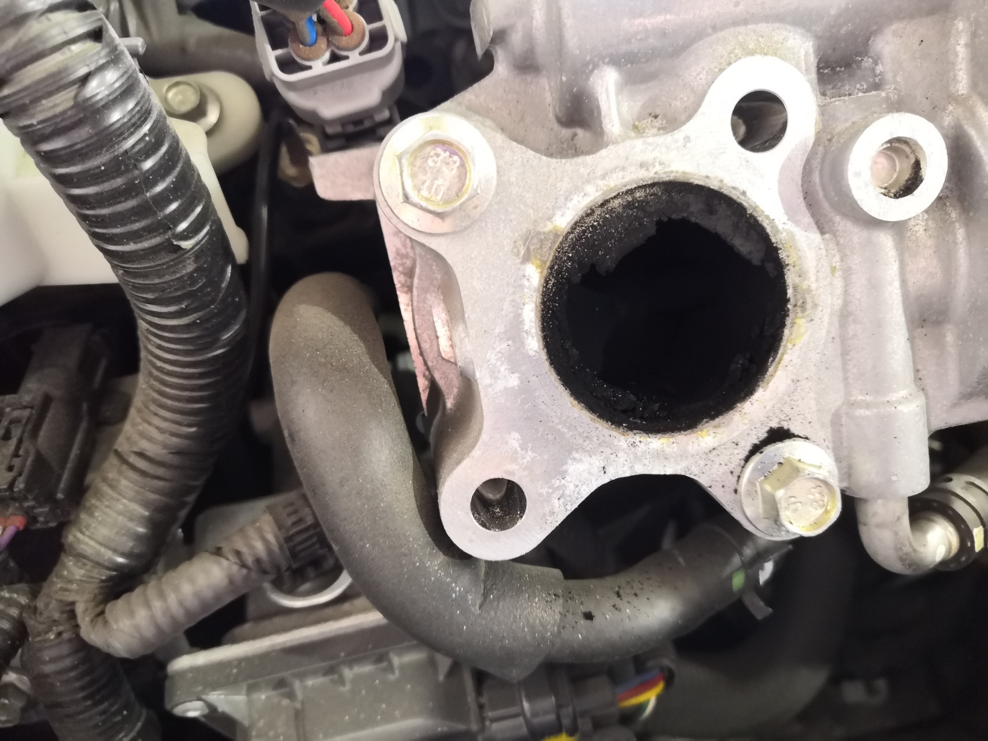 Удаление EGR и системы DPF — Mazda CX-3, 1,5 л, 2017 года | тюнинг | DRIVE2