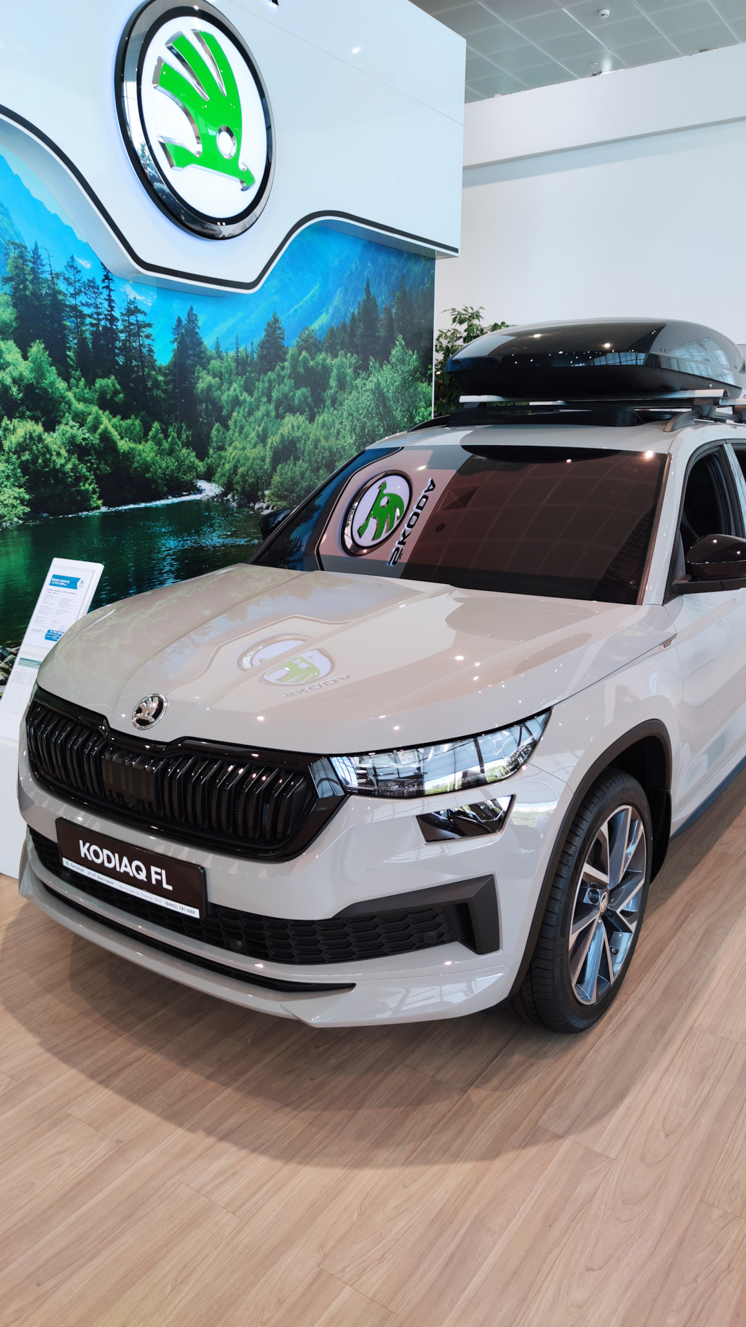 ТО-1 и колодки — Skoda Octavia A8 Mk4, 1,4 л, 2021 года | плановое ТО ...