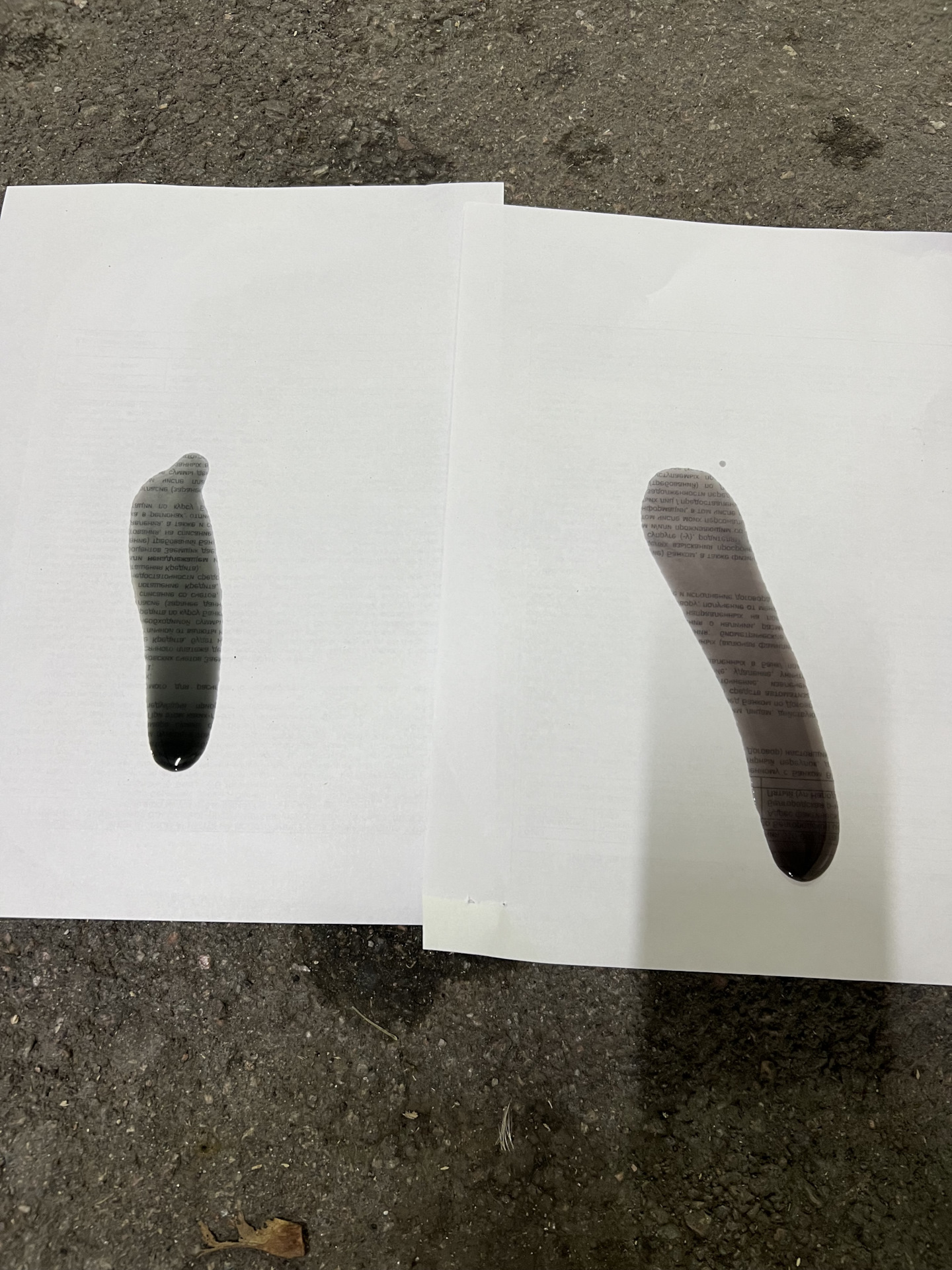 Замена масла — Tesla Model 3 (1G), 2018 года | плановое ТО | DRIVE2