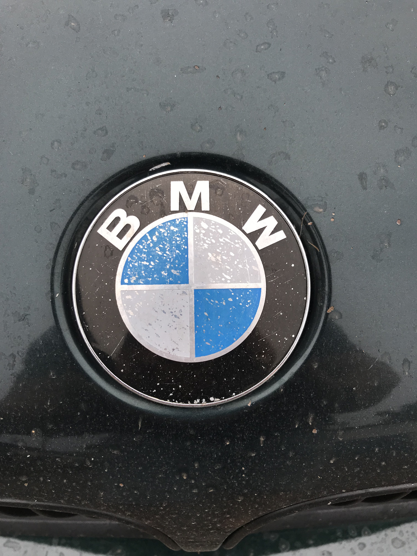 Замена эмблем — BMW 5 series (E39), 2,5 л, 2000 года | стайлинг | DRIVE2