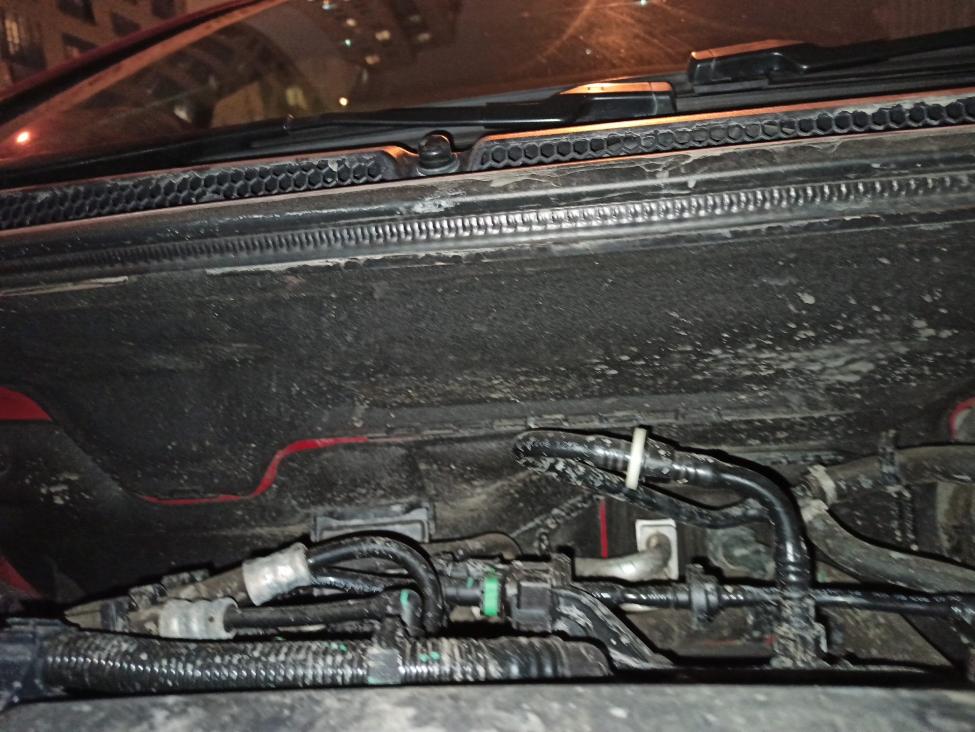 Голодная крыса под капотом, сколько это стоит — Opel Astra J, 1,4 л ...