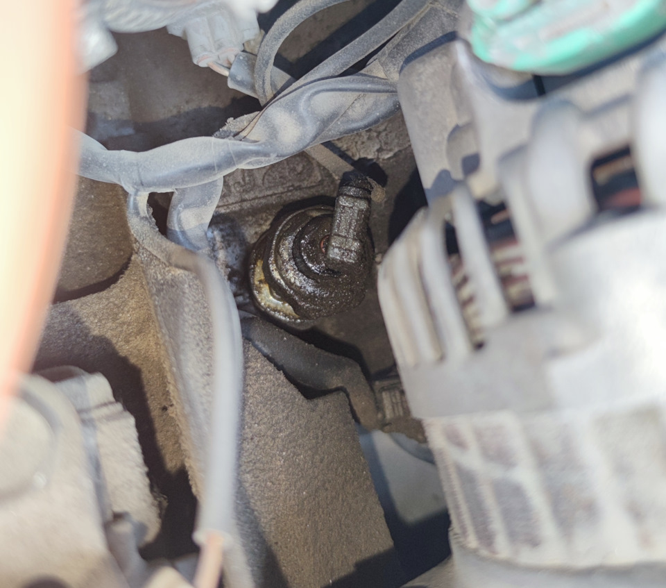 Профилактика резиночек + датчик давления масла — Subaru Forester (SG ...